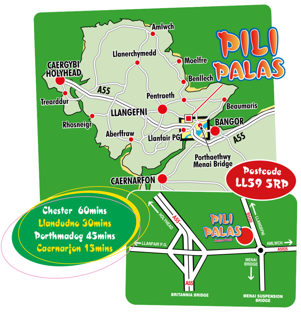 You can find Pili Palas in Menai Bridge , Anglesey, North Wales